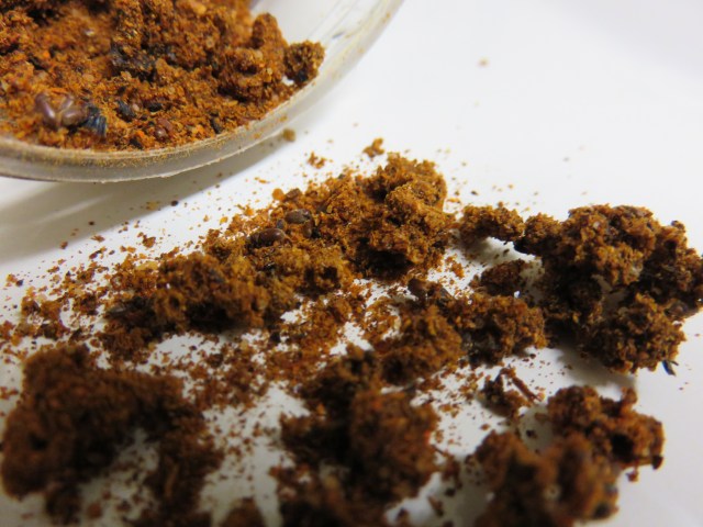 How do I deal with an infestation? | Ask an Entomologist
