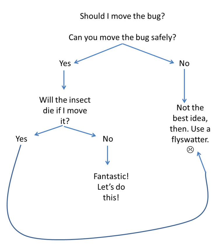 How do I relocate insects and spiders? | Ask an Entomologist
