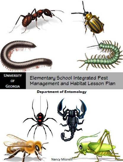 Entomology Lesson Plans | Ask an Entomologist