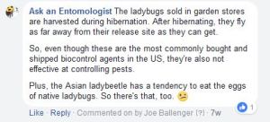 Ladybugs as invasive species…what does the science say? | Ask an ...