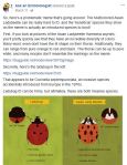 Ladybugs as invasive species…what does the science say? | Ask an ...