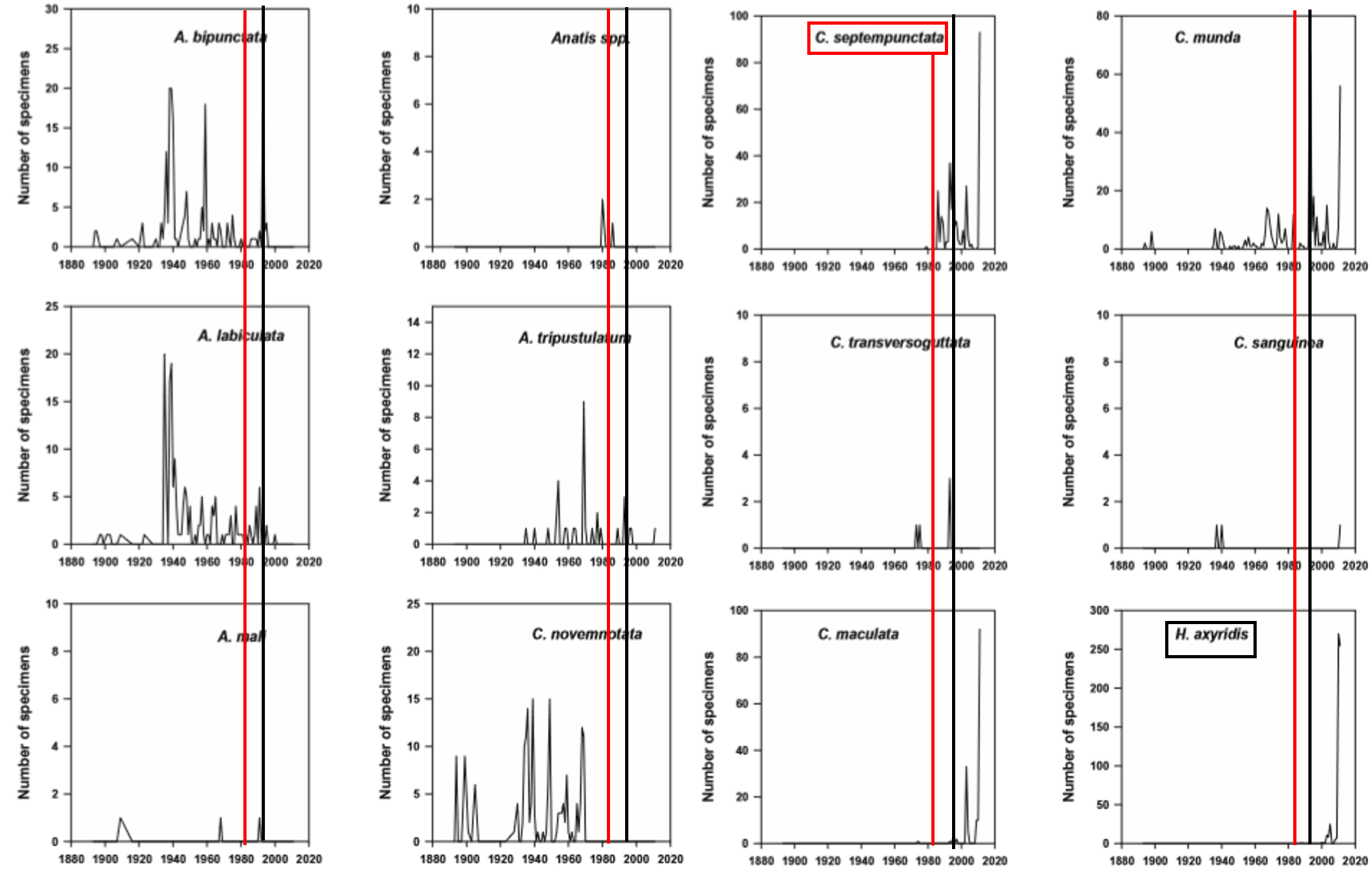 Ladybugs as invasive species…what does the science say? | Ask an ...